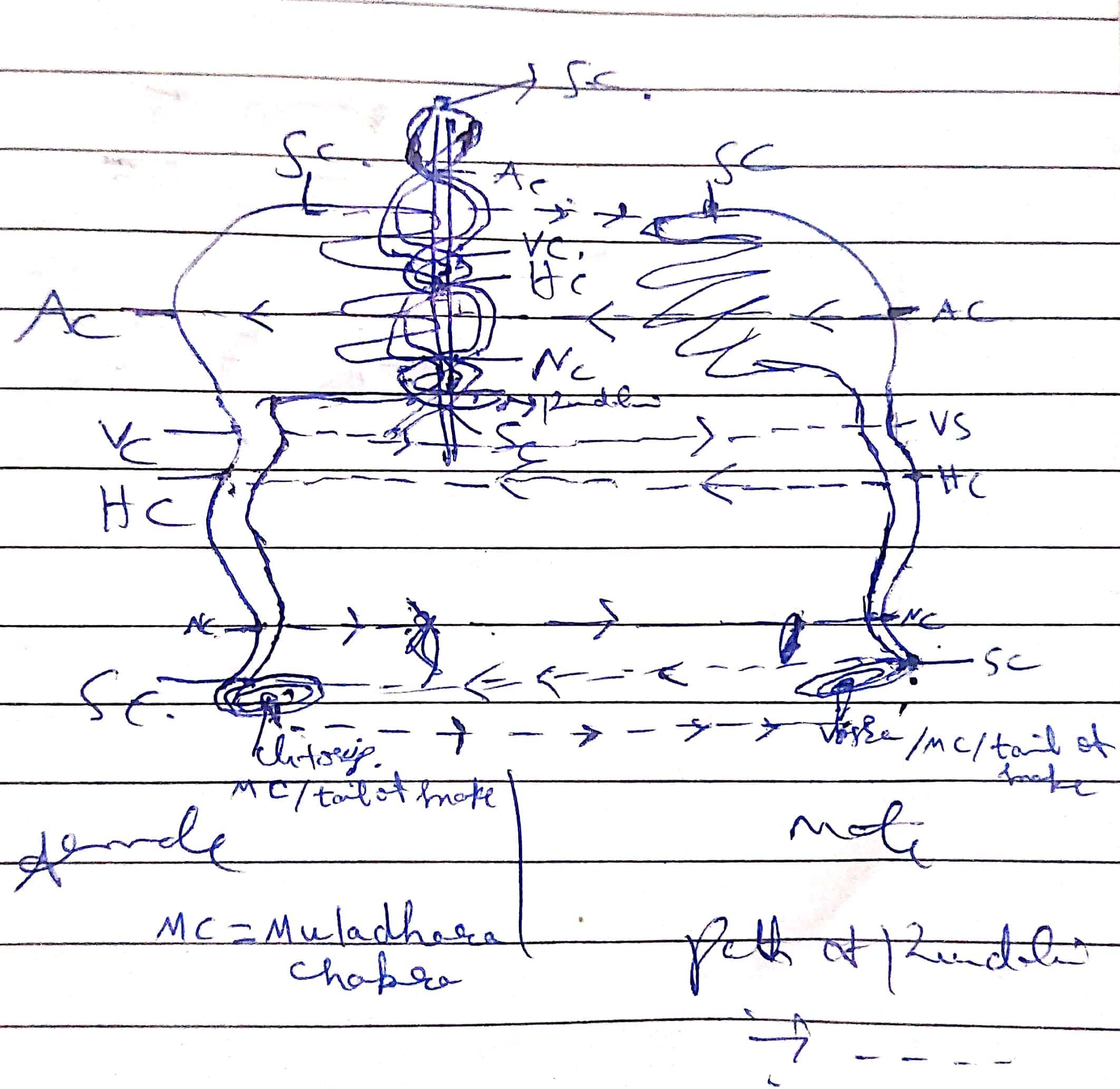 kundalini for the formation of three main psychic channels viz. Ida ...
